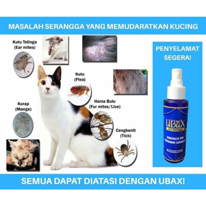 UBAX KUCING DAN ANTI SERANGGA (READY STOCK) | Shopee Malaysia