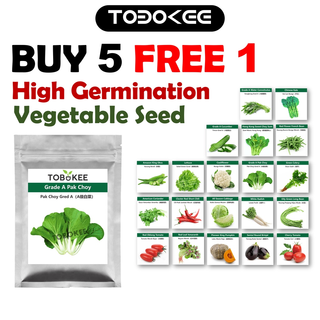 BUY 5 FREE 1 Vegetable Seed High Germination/ Non GMO/ Premium Pack ...