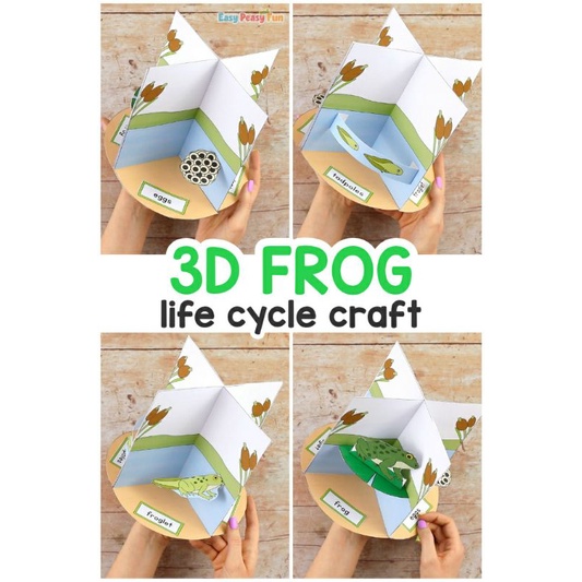 3D Frog/ Butterfly Lifecycle Craft diorama template PDF | Shopee Malaysia