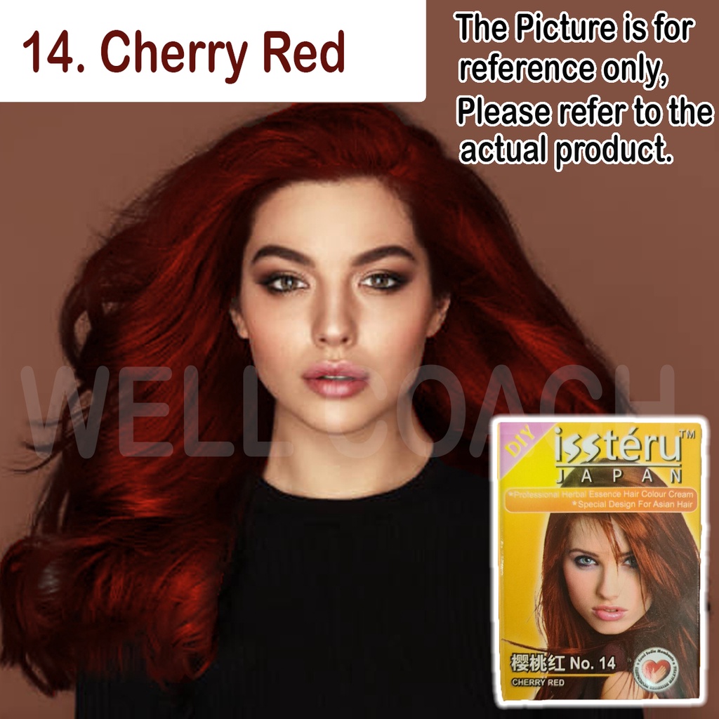 Issteru Hair Dye Japan DIY Hair Colour Cream Perwarna Rambut Halal Sah ...