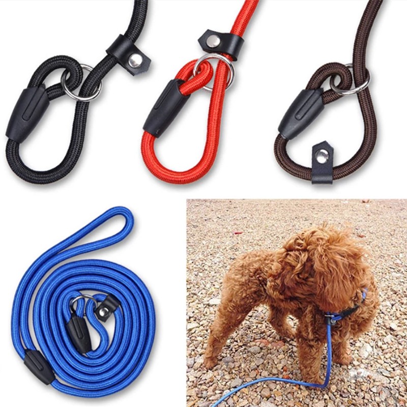 【Ready Stock】Pet Dog Nylon Rope Training Leash Slip Lead Strap ...