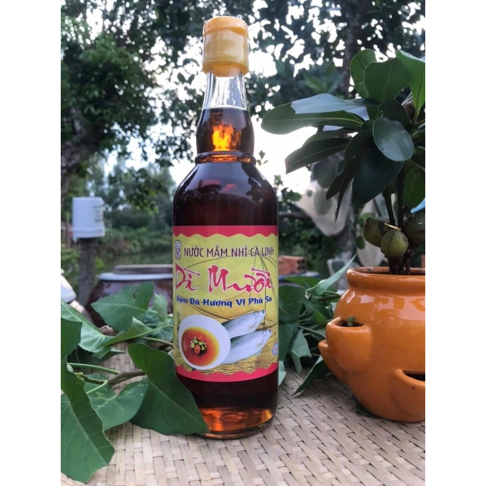 Fish SAUCE FOR SPIRITUAL FISH (Crockery bottle 500ML*2) | Shopee Malaysia