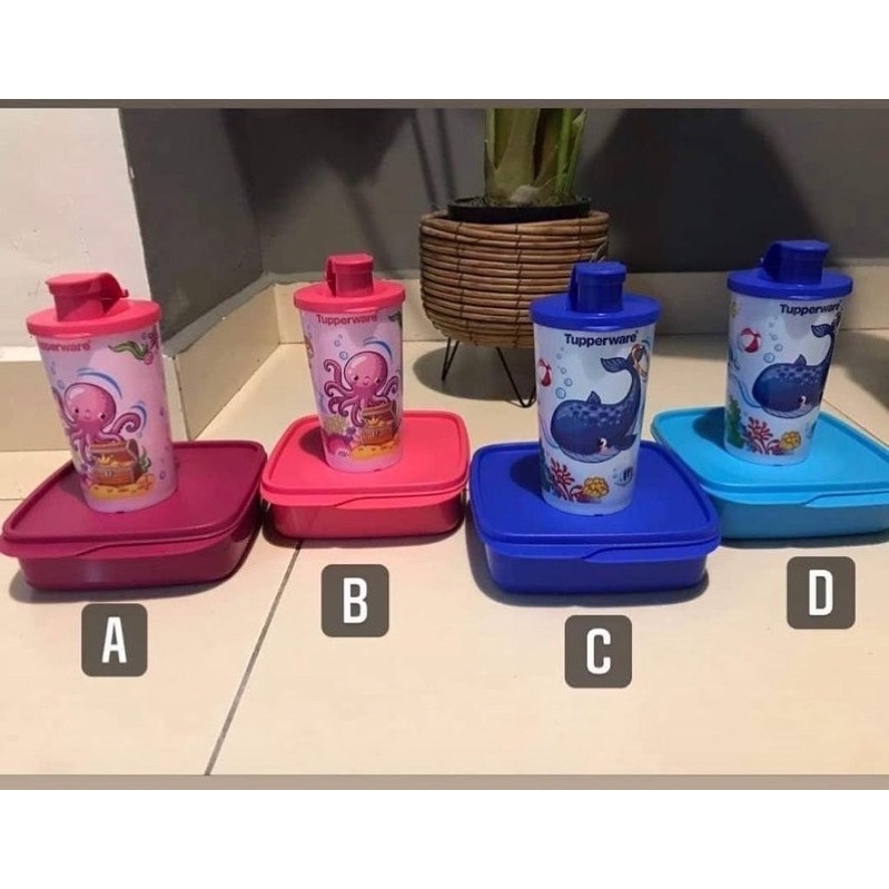 Aqua Friends Tumblr Lollitup 💯 TUPPERWARE | Shopee Malaysia