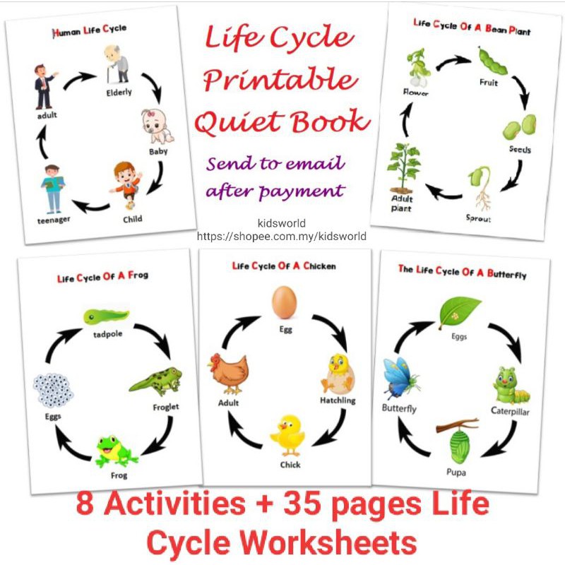 Soft Copy Life Cycle Activity Books + Science Sequencing Worksheet ...