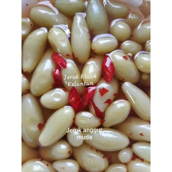 Jeruk anggur muda @ jeruk zabit.JERUK KLASIK KELANTAN | Shopee Malaysia