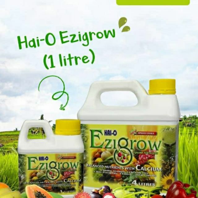 💥haio ezi grow sajidah haio💥 | Shopee Malaysia