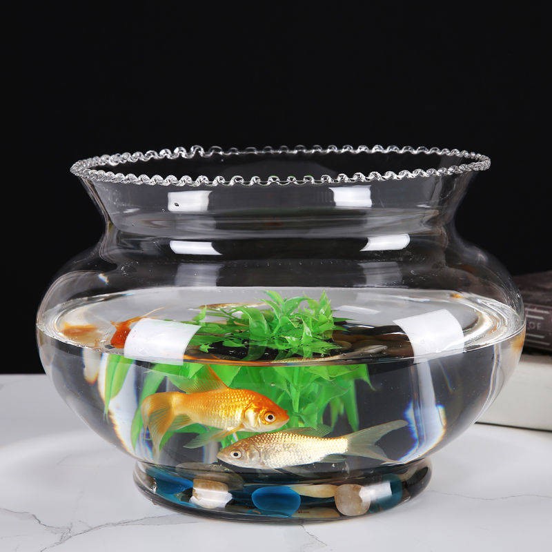 Kreatif Ecologium Aqualium Glass Lace Gold Fish Tank Transparent ...