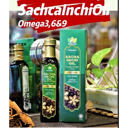 HACCP CERTIFIED SACHA INCHI OIL/COLD PRESSED&UNREFINED OMEGA-3,-6&-9 ...