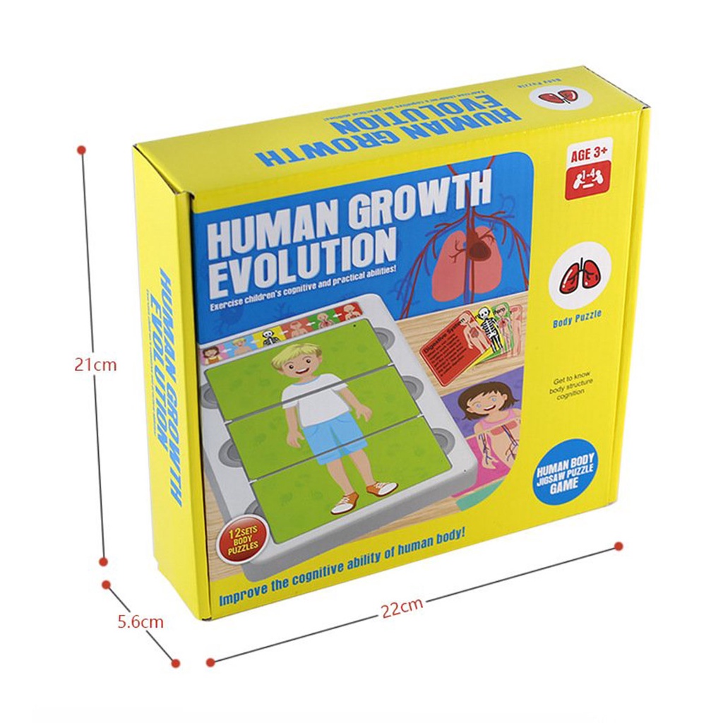 Human Growing evaluation game human body jigsaw puzzle | Shopee Malaysia