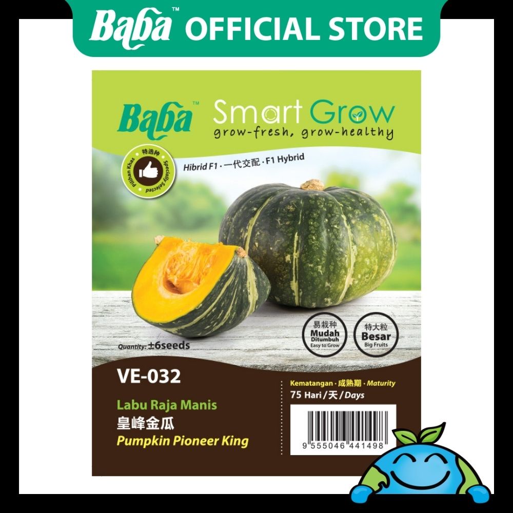 Baba VE-032 Smart Grow Pumpkin Pioneer King Seed - Vegetable Seed [6 ...
