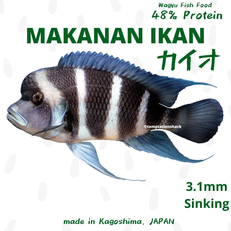 Makanan Ikan Japan カイオ - KAIO Wagyu Fish Food - Sinking Pallet Aquarium ...