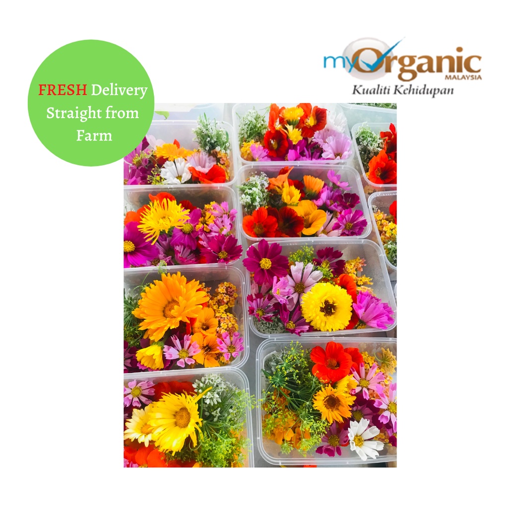 🌺🌸🌼💐🌷🌱Fresh Organic Edible Flower (Mix) from Cameron Highlands 25gm± ...
