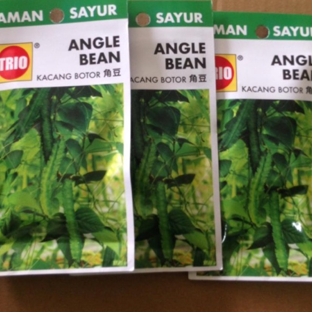 🌱🌱 BIJI BENIH (SAYUR KACANG BOTOL) 🌱🌱 | Shopee Malaysia