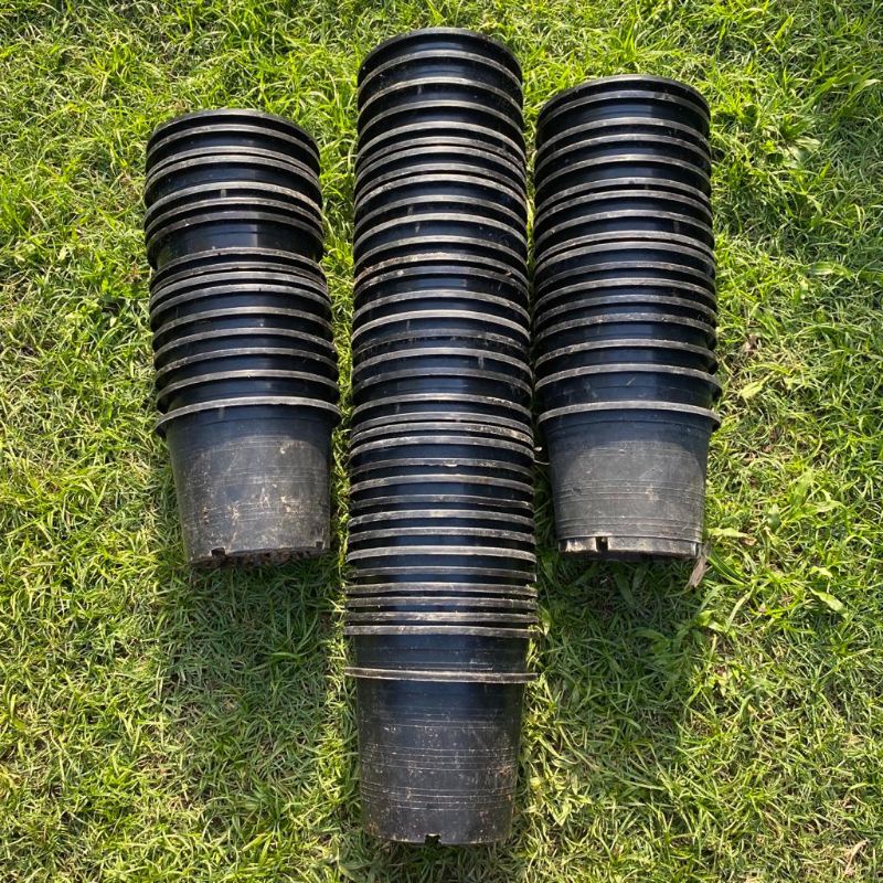 PASU TERPAKAI MURAH! (6inci) | Shopee Malaysia