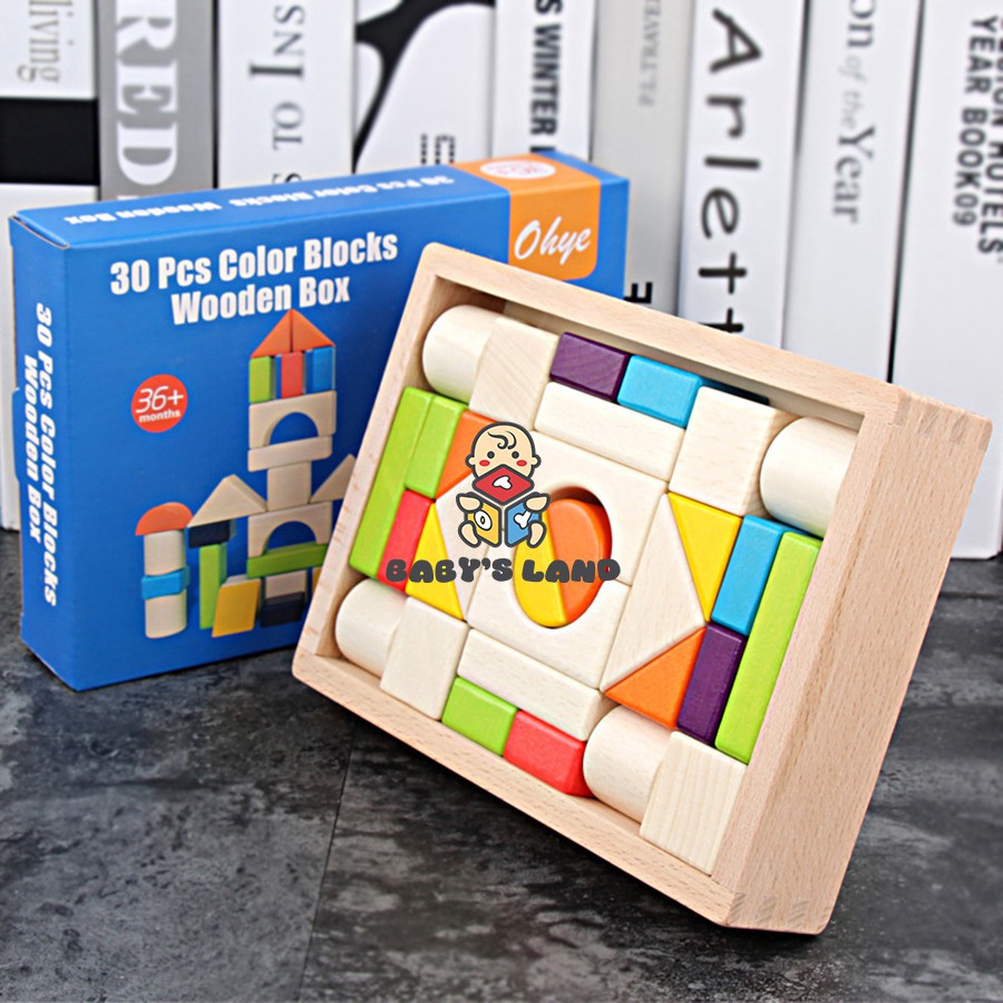 30 Detail Wooden Building Puzzle Set With Container (Montessori ...