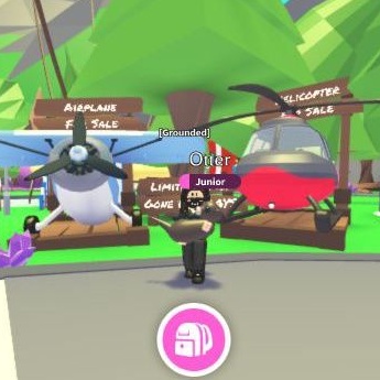 Roblox Adopt Me Pet Otter Normal| #Adopt Me Pet | Cracked egg | Shopee ...