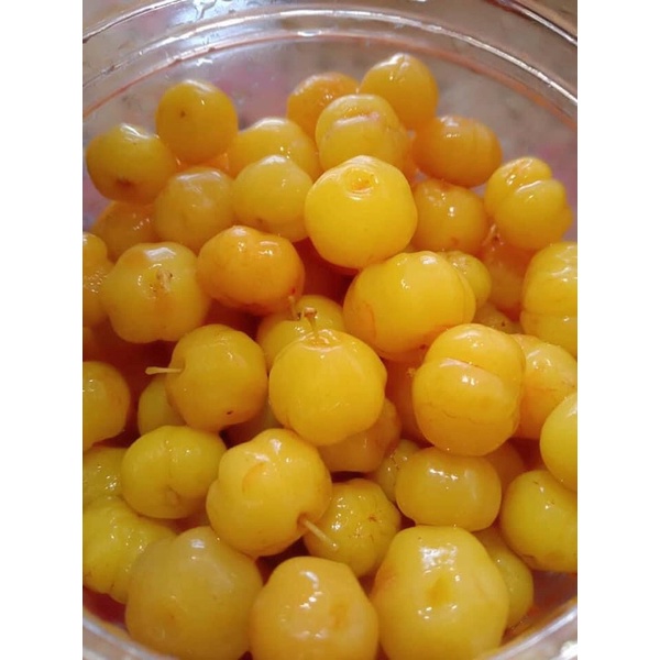 Jeruk CheYon Homemade Ori kelantan [READY STOCK]/ Jeruk Buah /Jeruk ...