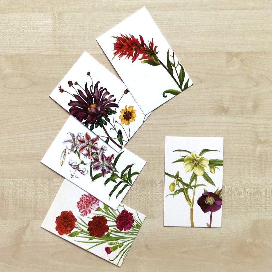 Vintage Flower Postcard - Set F011 (5 pcs) | Shopee Malaysia