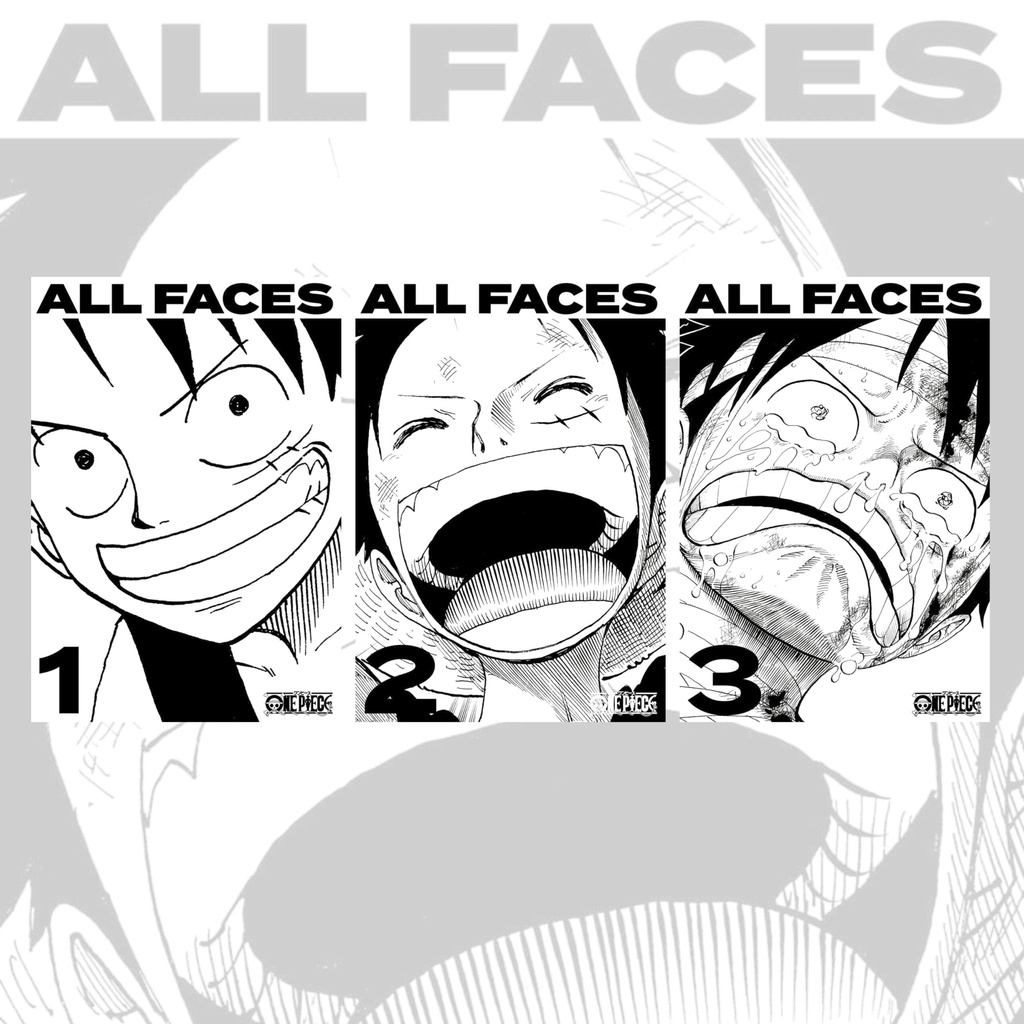 One piece all faces Japanese onepiece japense version Special Book ...