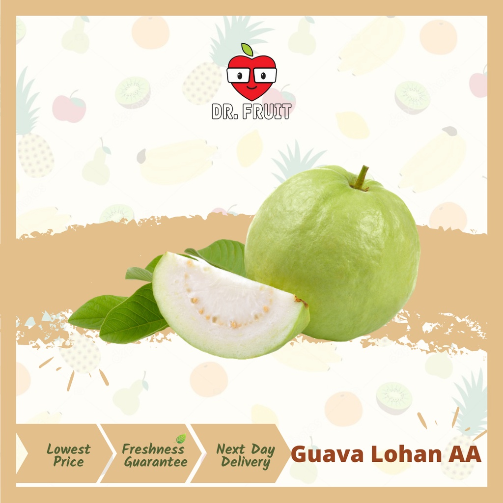 Guava Lohan AA - 2pcs *Free 1 pkt sour plum powder* 潘石榴/罗汉 | Dr.fruit ...