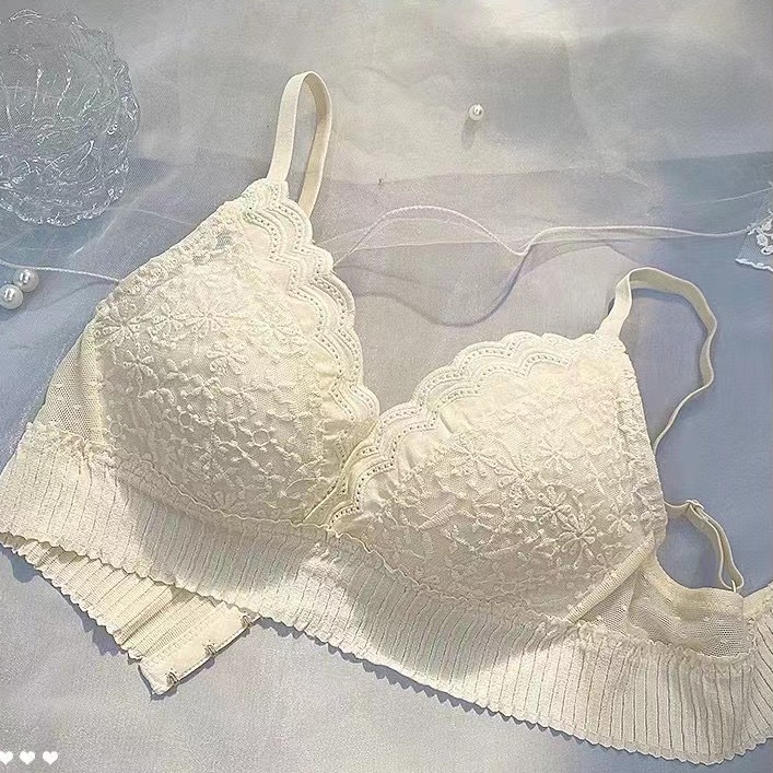 Sexy Lace Triangle Cup No Steel Rings Push Up Underwear内衣文胸 | Shopee ...