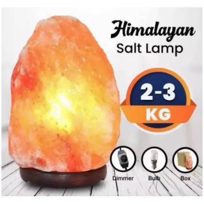 AUTHENTIC Himalayan Salt Lamp from Pakistan w/ DIMMER 2-3kg Hand Carved ...