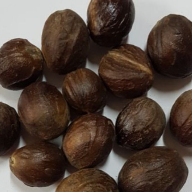 BIJI BUAH PALA / NUTMEG 50 G 士 | Shopee Malaysia
