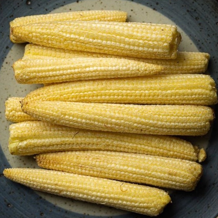 5 pcs benih jagung baby corn seed/jagung sayur benih sayur murah vege ...