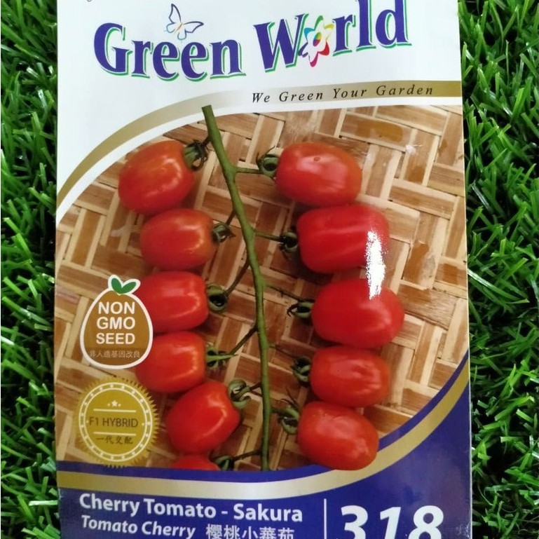 (READY STOCK) Cherry Tomato Sakura Green World Code 318 Biji Benih ...