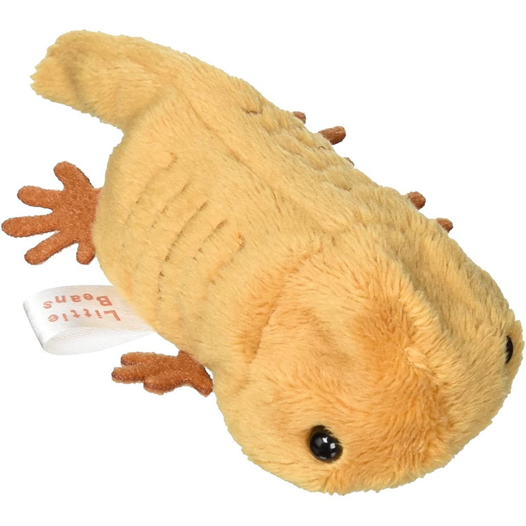 TST ADVANCE Plush toy Little Beans (Salamander) | Shopee Malaysia