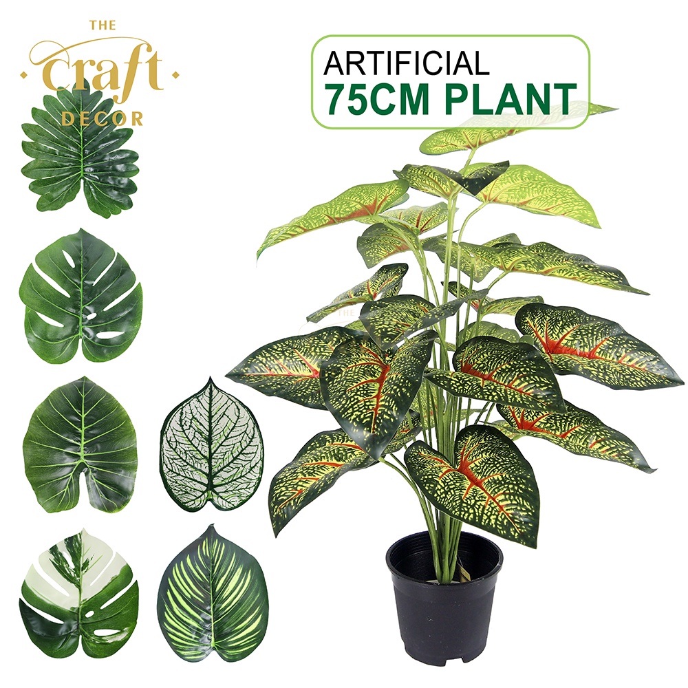 The Craft Decor 75cm Caladium | Watermelon | Monstera | Selloum ...