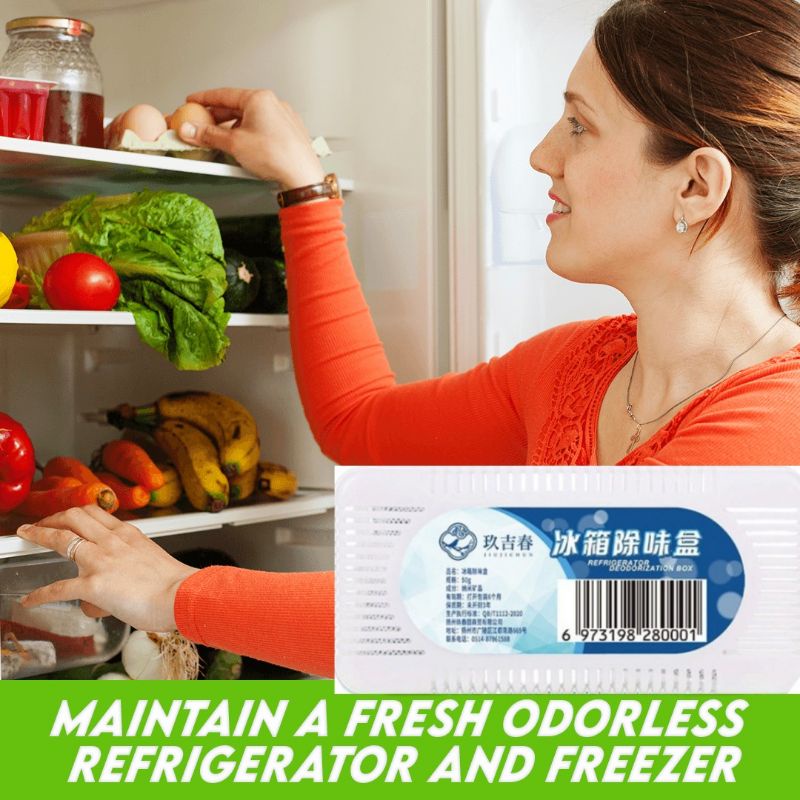 REFRIGERATOR DEODORIZER BOX/KOTAK PENYABAU PETI AIS/ 冰箱除臭盒 | Shopee ...