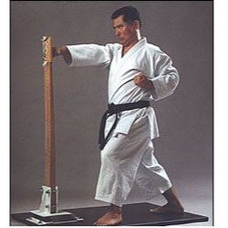 🔥Traditional Makiwara Floor mounted🔥 Japan Kicking Punching Training ...