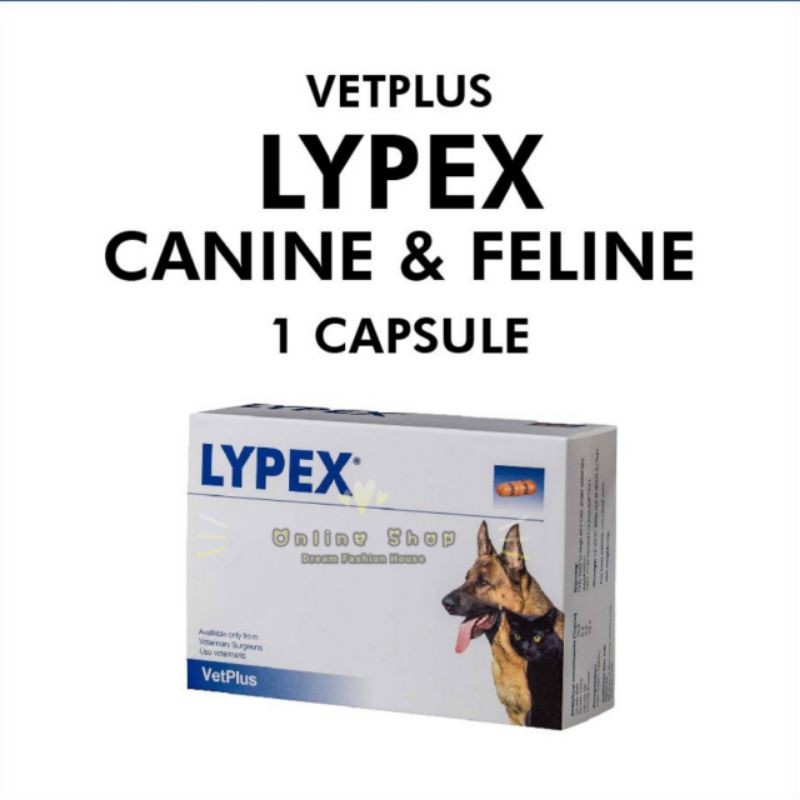 (Ready stock)(1 capsule)Lypex Capsules For Canine Dog(without box ...