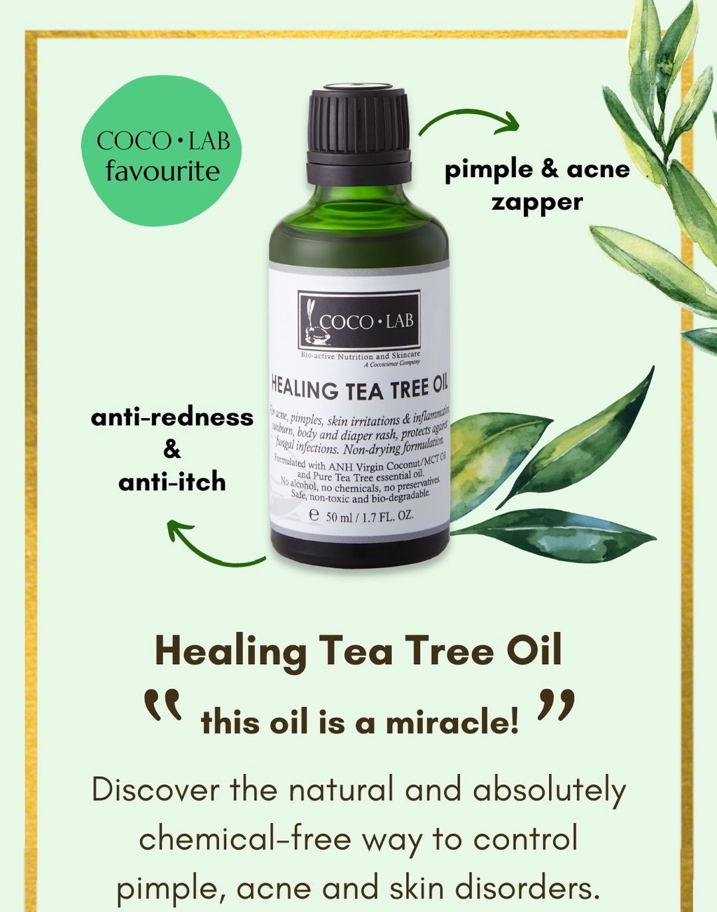 COCOLAB Healing Tea Tree Oil (50ml) [For Pimples, Acne, Rashes, Flare ...