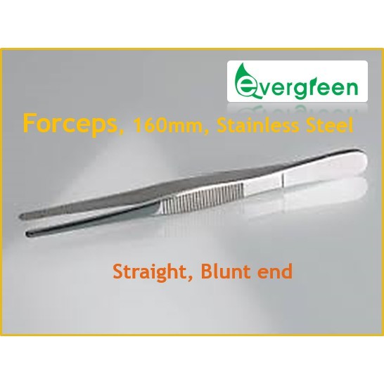 Forceps, Stainless Steel, Blunt, Straight ( various size ) | Shopee ...