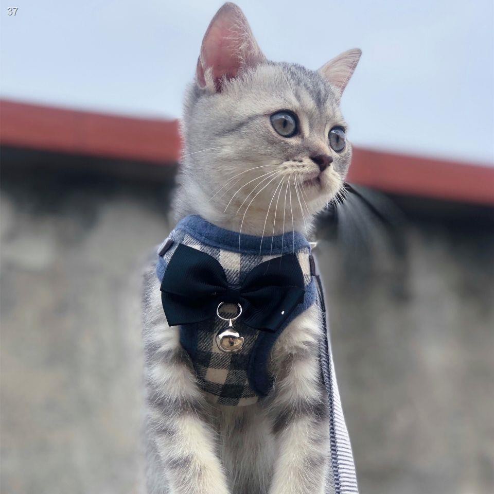 Cat Harness Lead Pet Harness Lead Tali Kucing Berjalan Murah Dog Rope ...