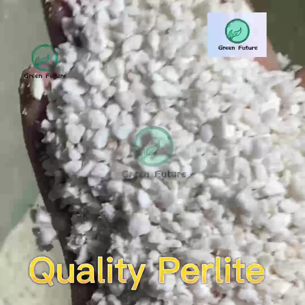 Perlite 珍珠岩 3-5mm For Cactus & Succulents soil Volcanic Perlite ...