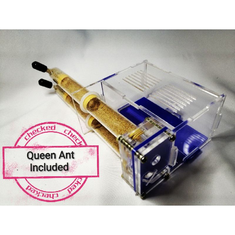 Ant Farm - 18*180mm Test Tube Formicarium - Ant Farm Ant Keeping Ant ...