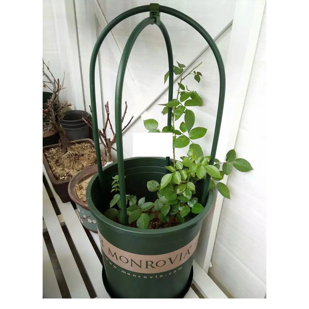 Plant Climbing Frame Garden Trellis Trees Vegetables U-shaped Durable ...