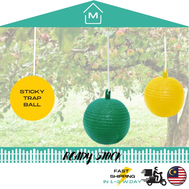 Super Sticky Hanging Trap Ball Fruit Flies Insect Catcher | Bola ...