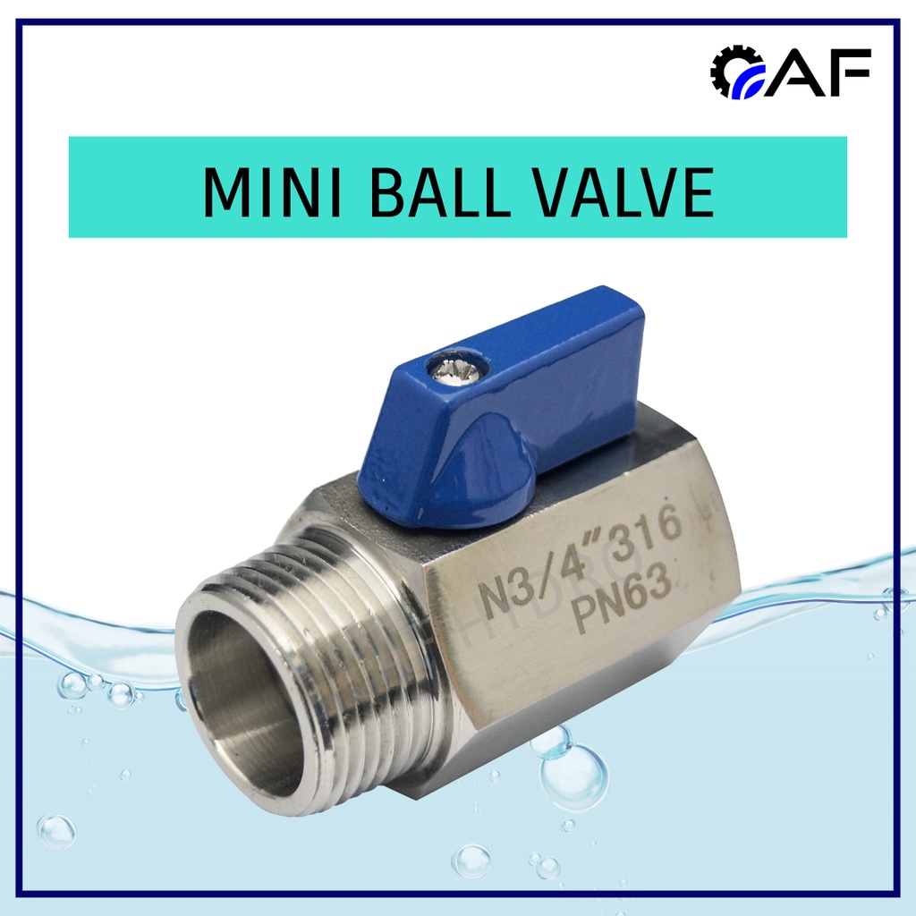 Stainless Steel SS316 Mini Ball Valve, 1/8” to 1” Male Female Threaded ...