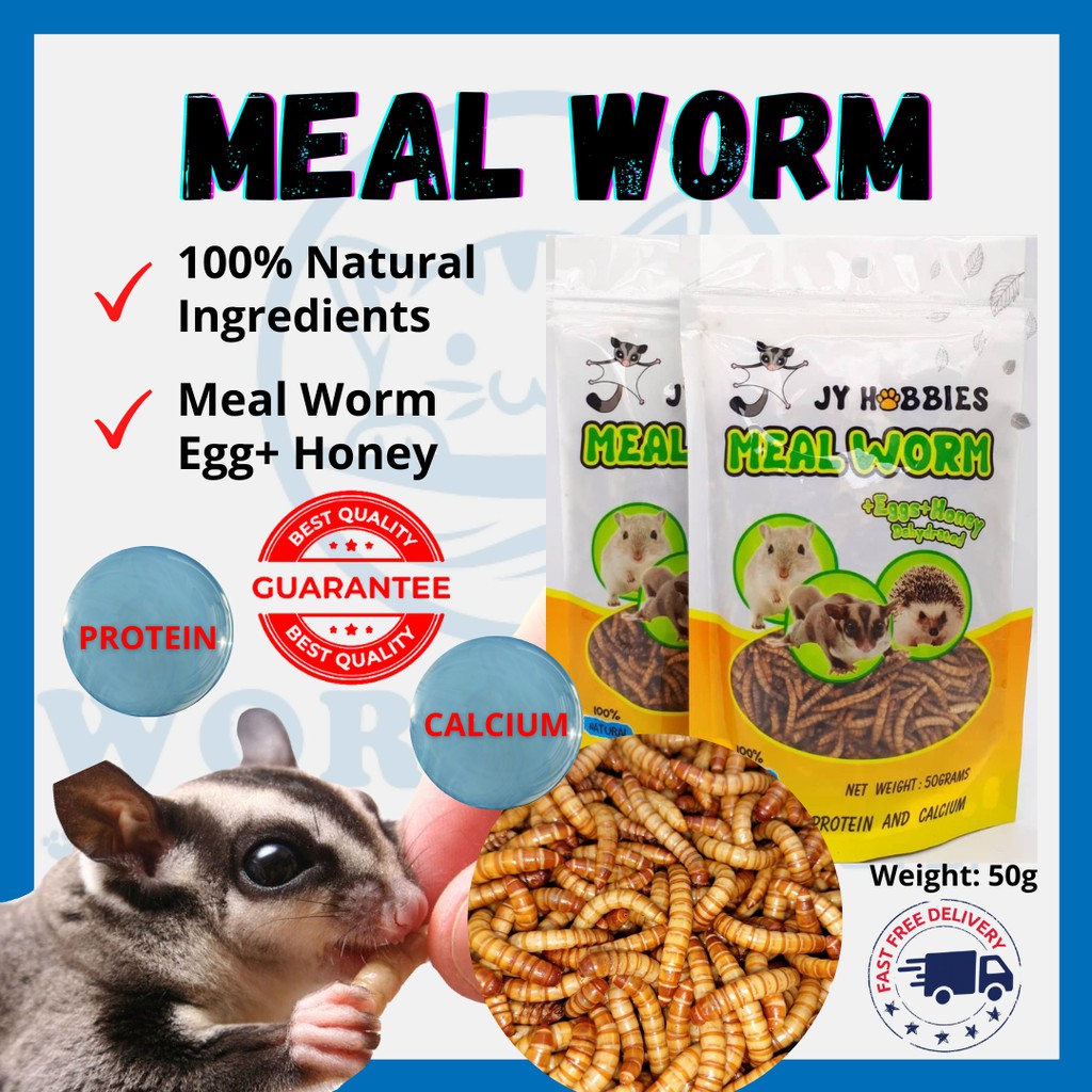 🔥Ready Stock🔥 Dried Meal Worm for Sugar Glider/Small Animal/ Reptiles ...