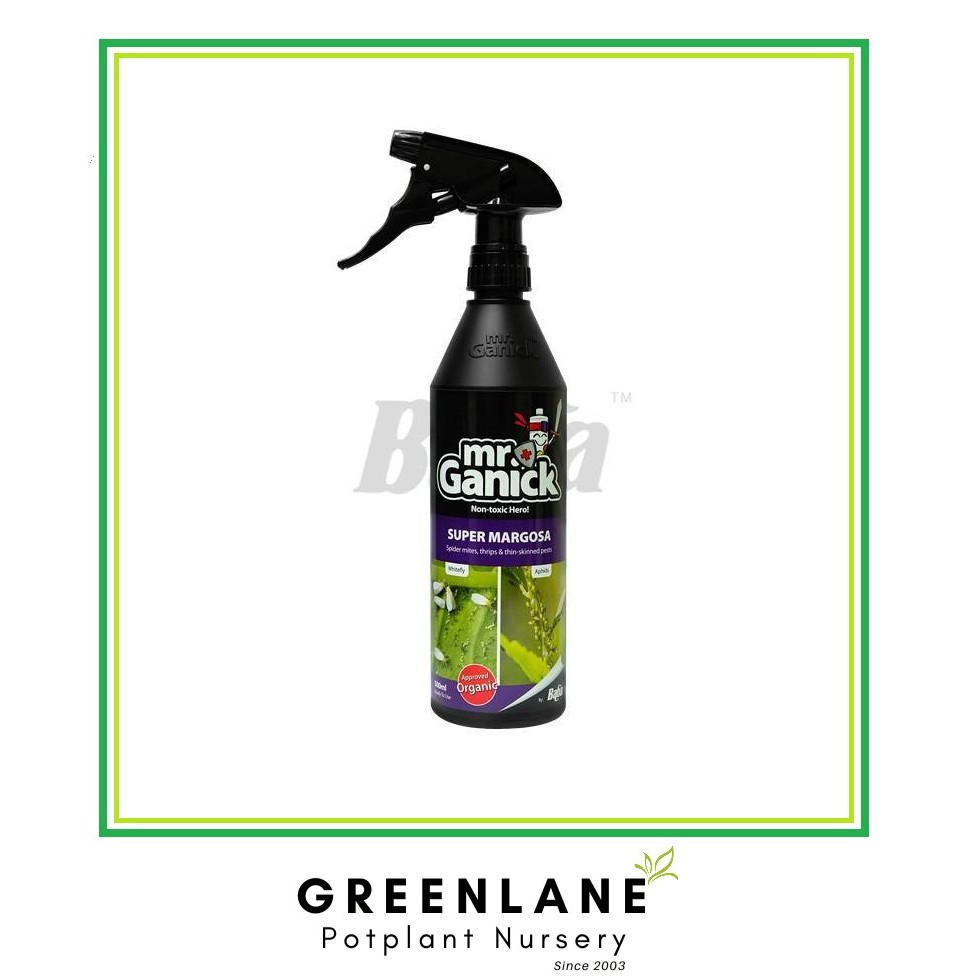 Mr Ganick Scale Terminator Ready To Use (500ML) | Shopee Malaysia