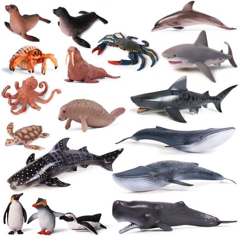 Simulated marine life model Squid Lobster Turtle Crab Shark Whale ...