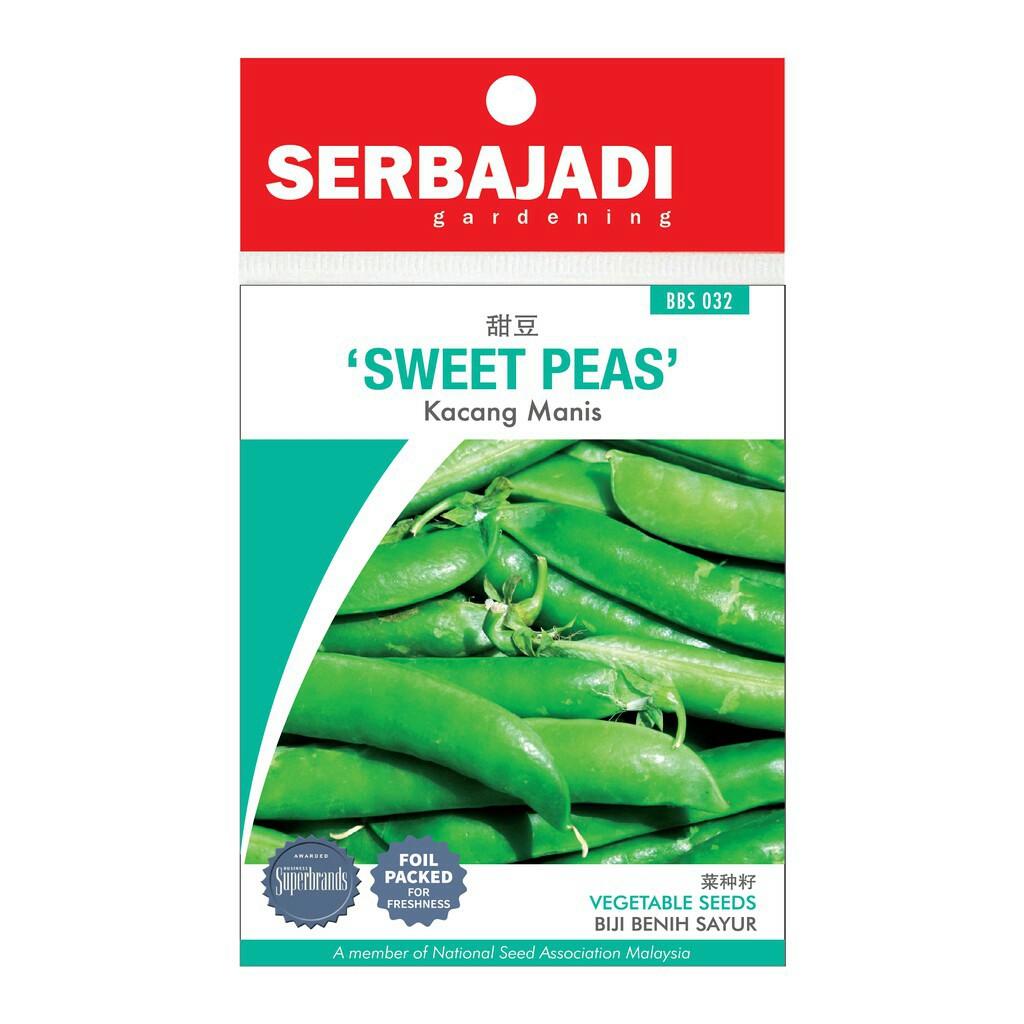 Benih sayur/Vegetable seeds/菜种SERBAJADI SEEDS - Sweet Pea / Kacang ...