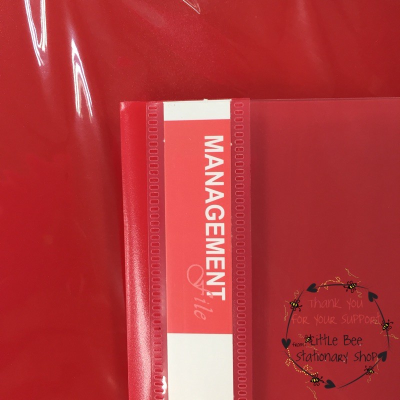 Lion Management File 807A (1pc) | Shopee Malaysia