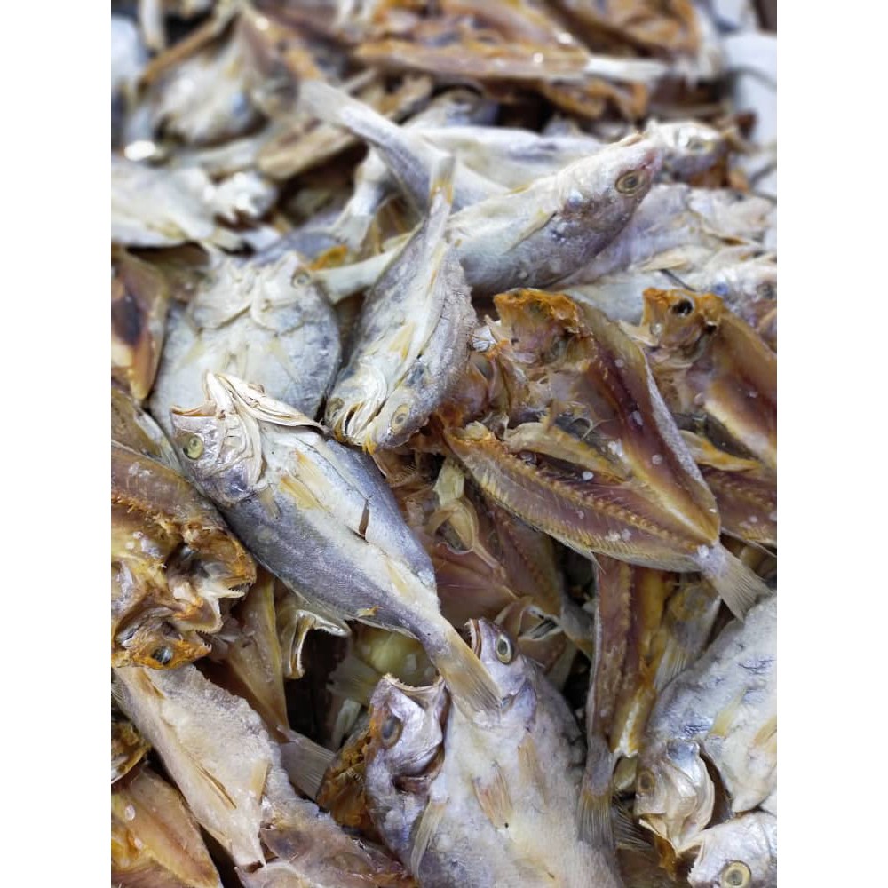 ikan kering gelama belah saiz medium 500g | Shopee Malaysia