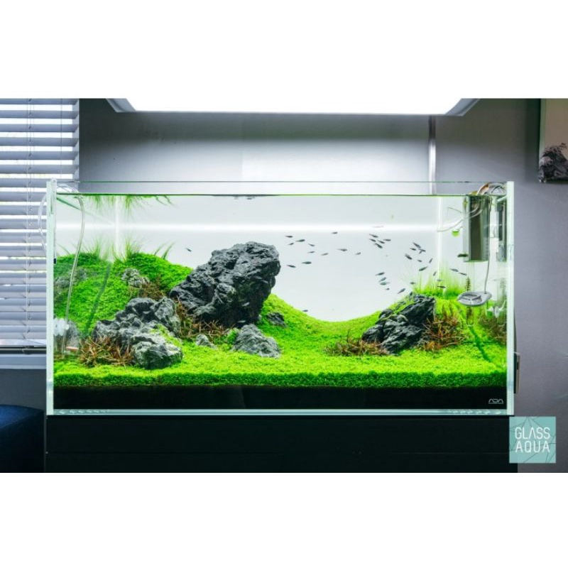 Monte Carlo Box Saiz: 10cm*10cm | Shopee Malaysia