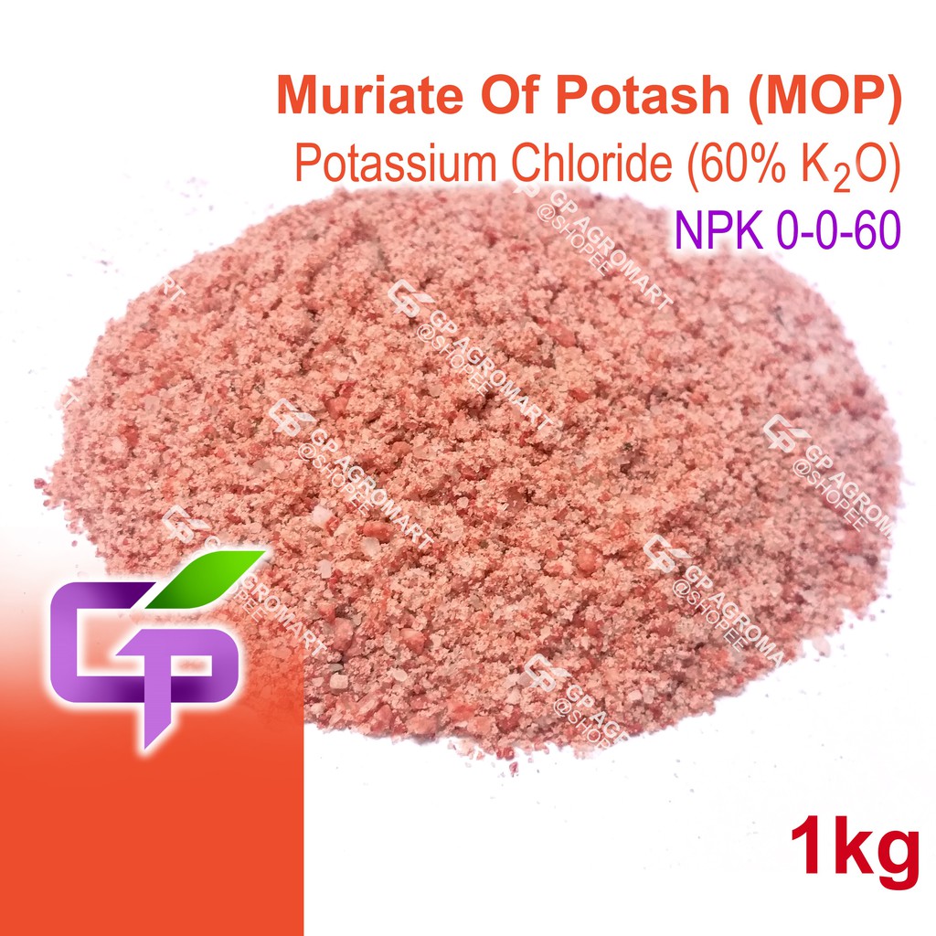 1kg Muriate Of Potash (MOP) NPK 0-0-60 / 60% K2O / Potassium Chloride ...